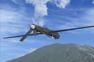 USAF RQ-1A Predator UAV for FSX