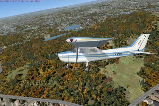 Grass And Trees for FS2004