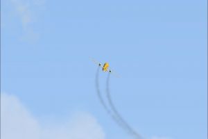 Fairchild Metroliner III Engine Smoke Effect for FSX