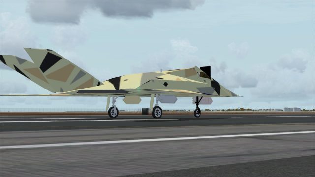 Have Blue 1001 F-117 Nighthawk for FSX