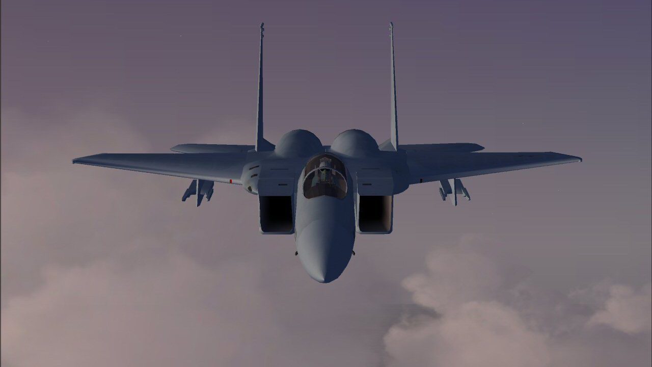 Tactical Air Command F-15 for FSX