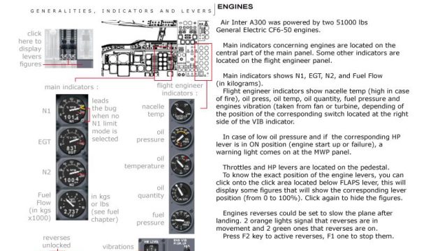 Airbus A300 B4-2C V4 for FSX