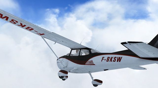 Cessna C172 F-BKSW - The Black Swan for FSX