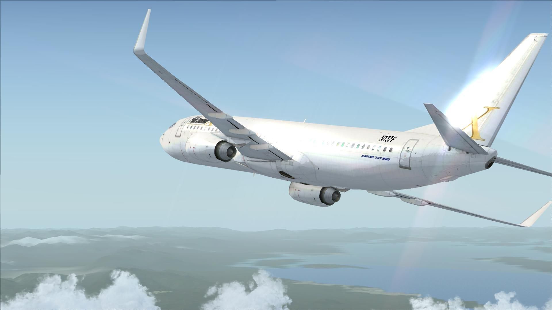 Boeing 737-800 FSX Livery for FSX