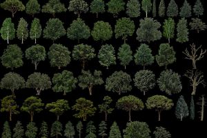 OpenSceneryX for X-Plane