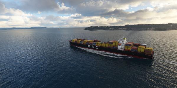 Fly Away Simulation - Freeware Flight Sim Add-ons, News & Community