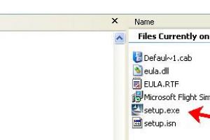 Make Scenery with the Object Placement Tool in FSX for FSX