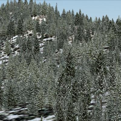 Global (World) Scenery for Microsoft Flight Simulator X & Prepar3D ...