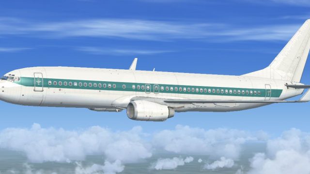 Default Boeing 737-800 Repaint 11-Pack for FSX