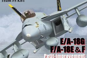 FA-18E, F And EA-18G Petit-Improvement for FSX