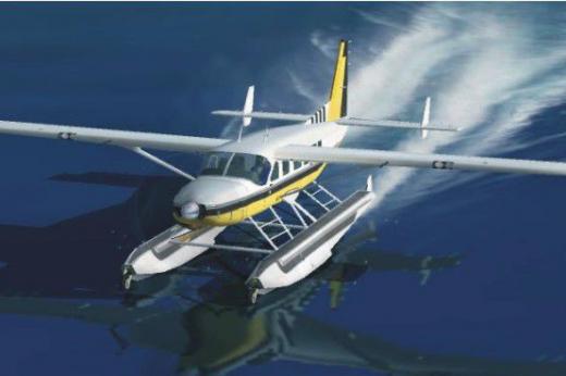 2D Cessna C208 Caravan Panel for FSX