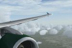 Project Airbus A319 With FD-FMC Panel for FSX