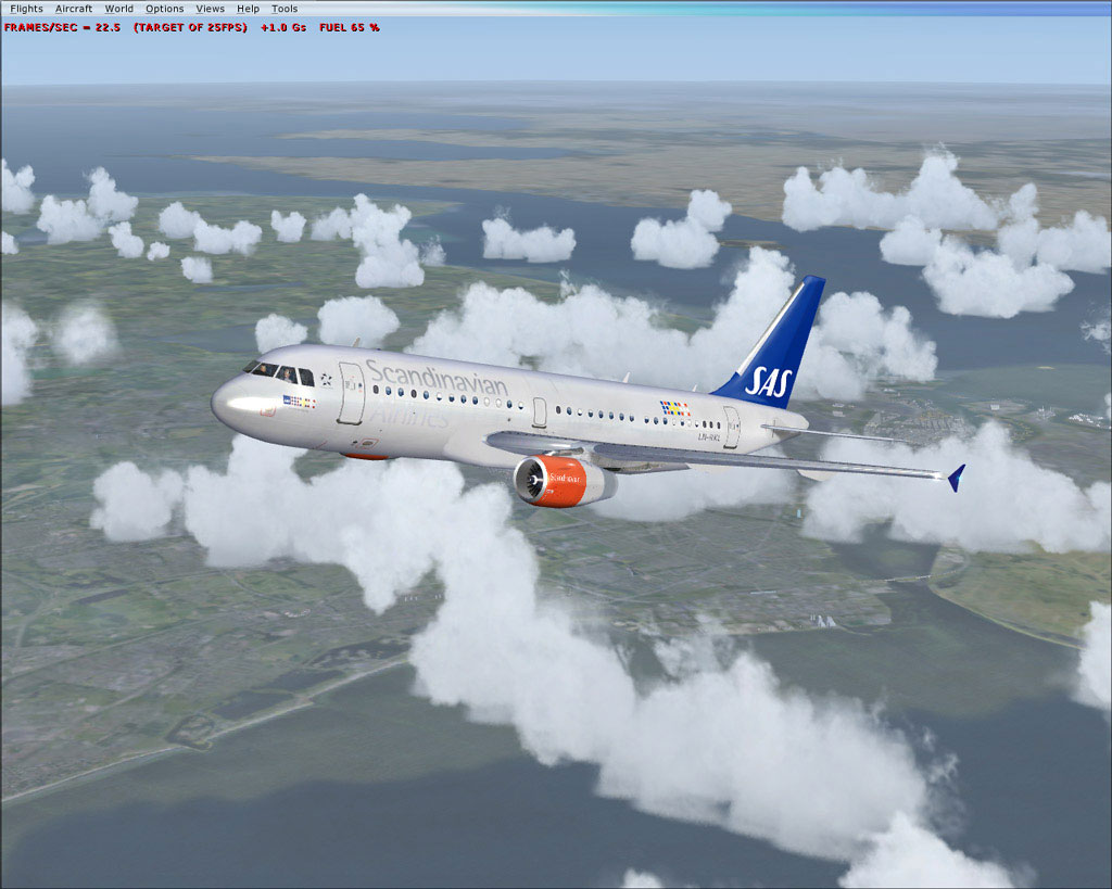 SAS Airbus A319 for FSX